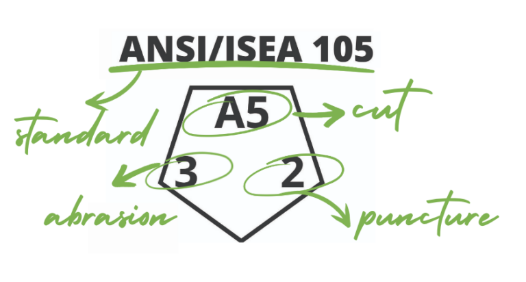 5 Facts About ANSI/ISEA 105-2024 - ISEA