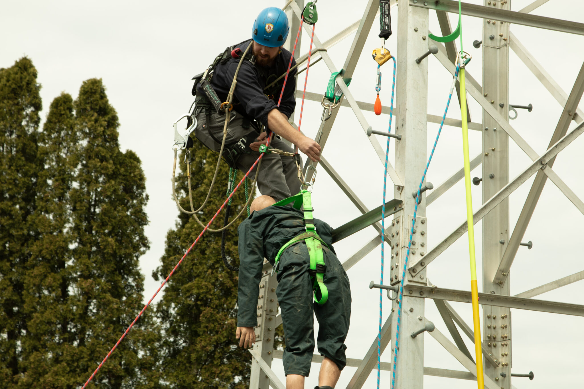 Fall Protection: Use and Selection Guide